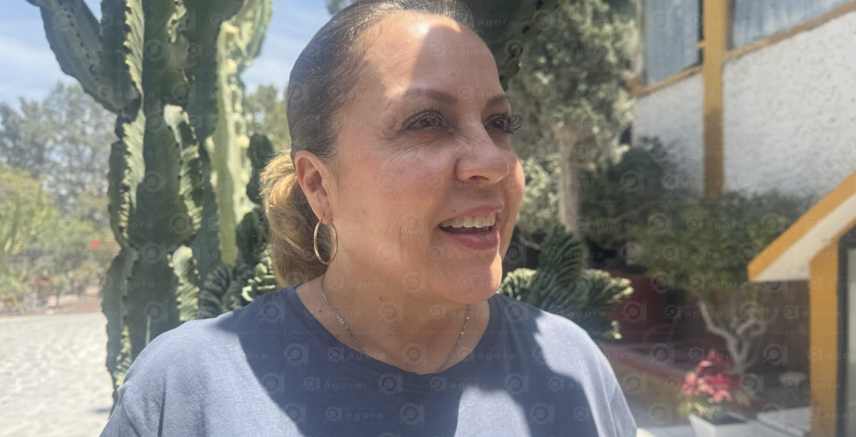 Destaca Claudia la experiencia en la función pública; basa su propuesta ...