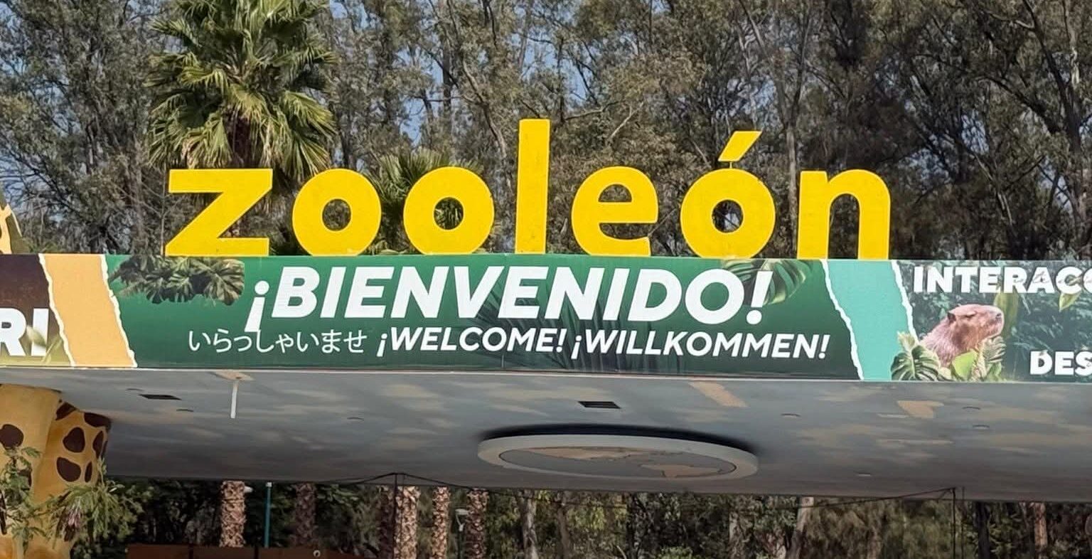 Pagará León 400 mil pesos para encontrar nuevo director del Zoo